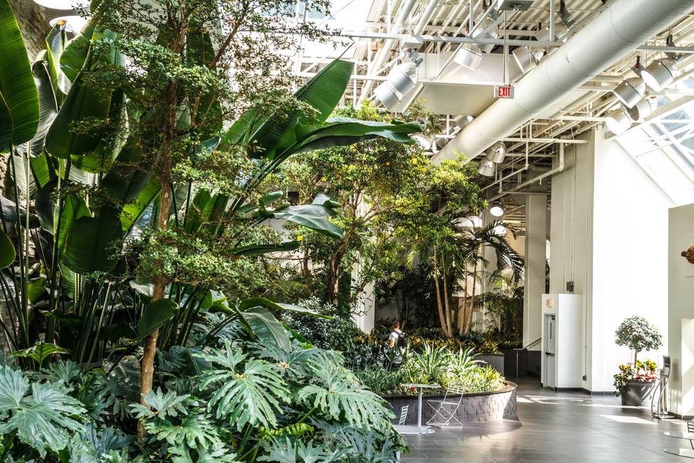 Calgary: Reisbericht | nightside